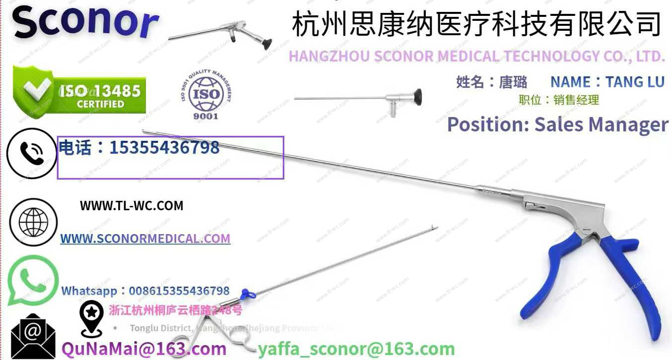 The 2025 Academic Conference of the Orthopedics Branch of the Chinese ...